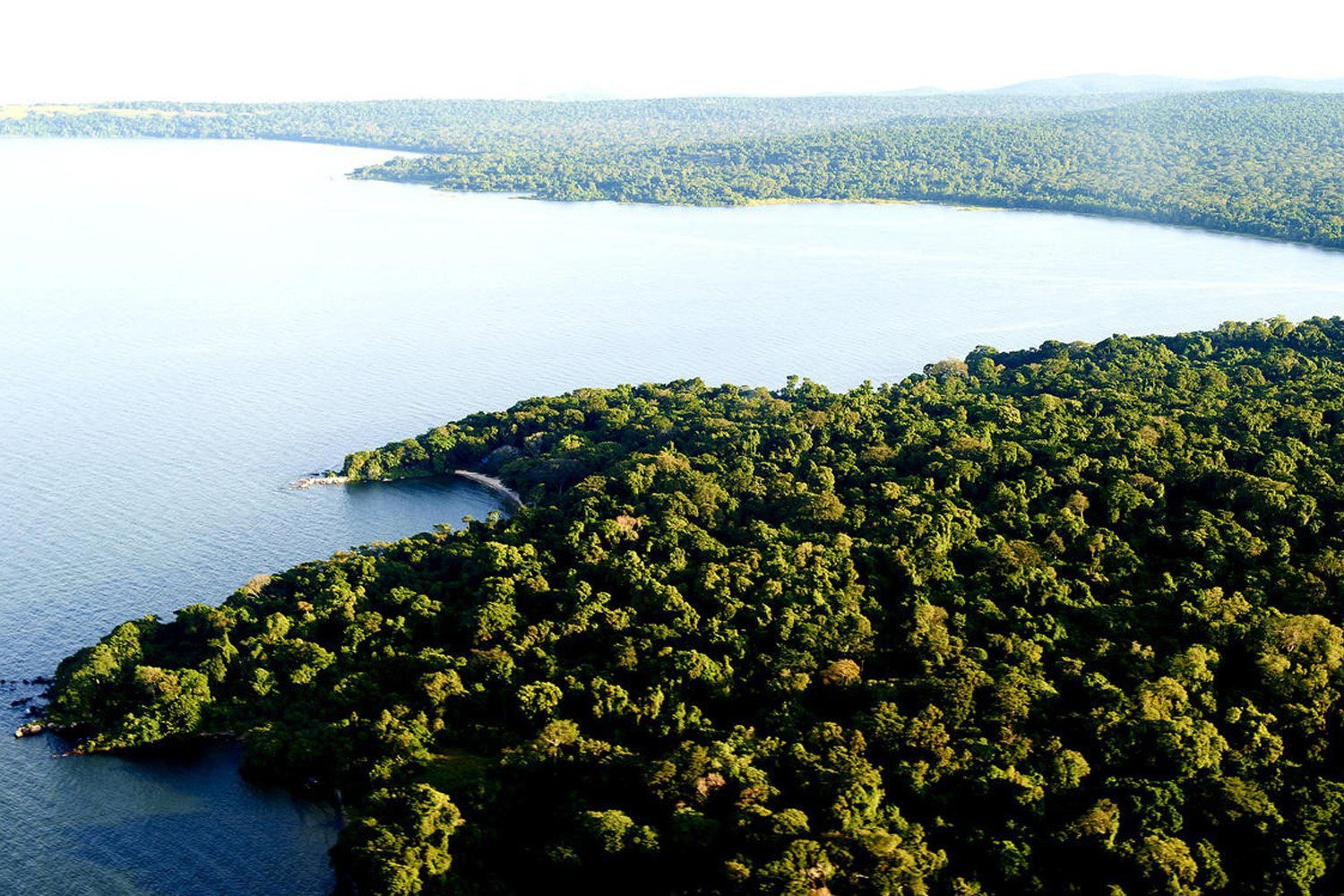 Rubondo Island National Park Safaris in Tanzania